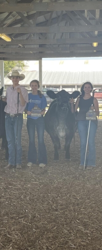 Welcome to the Hancock County Fair - Hancock County Fair