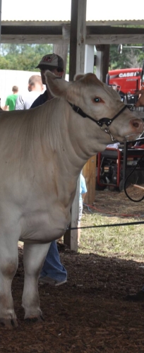 Welcome to the Hancock County Fair - Hancock County Fair
